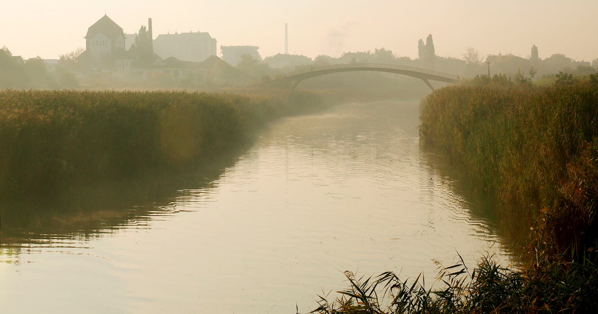Eat Local in Central Banat District