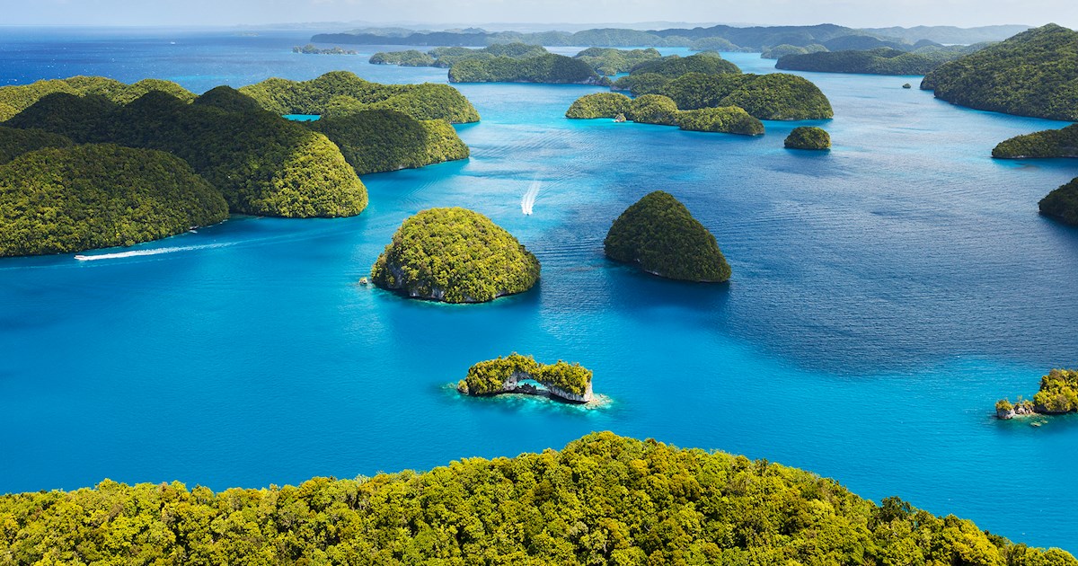 Eat Local in the Federated States of Micronesia