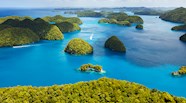 Eat Local In The Federated States Of Micronesia Eat Local In The Federated States Of Micronesia