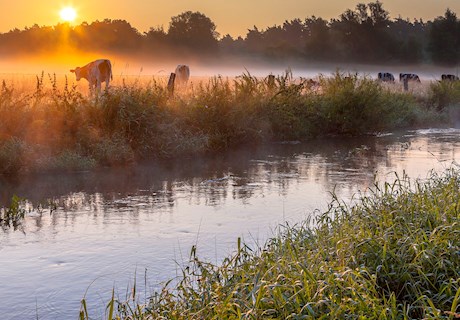 Eastern Dutch Food Homepage: Discover Eastern Dutch Cuisine | TasteAtlas