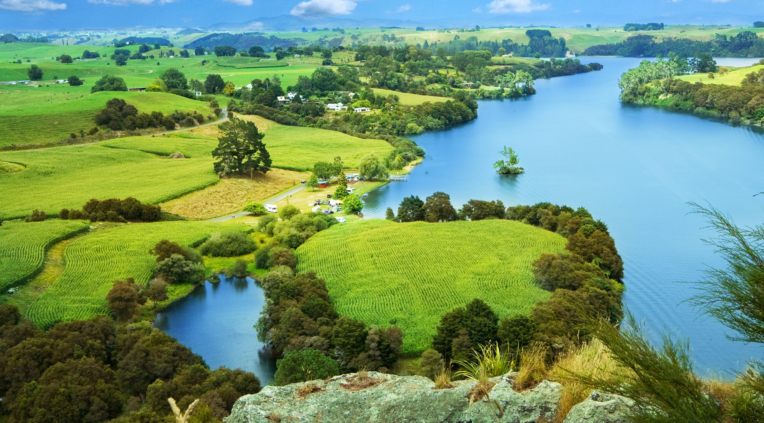 Eat Local in Waikato