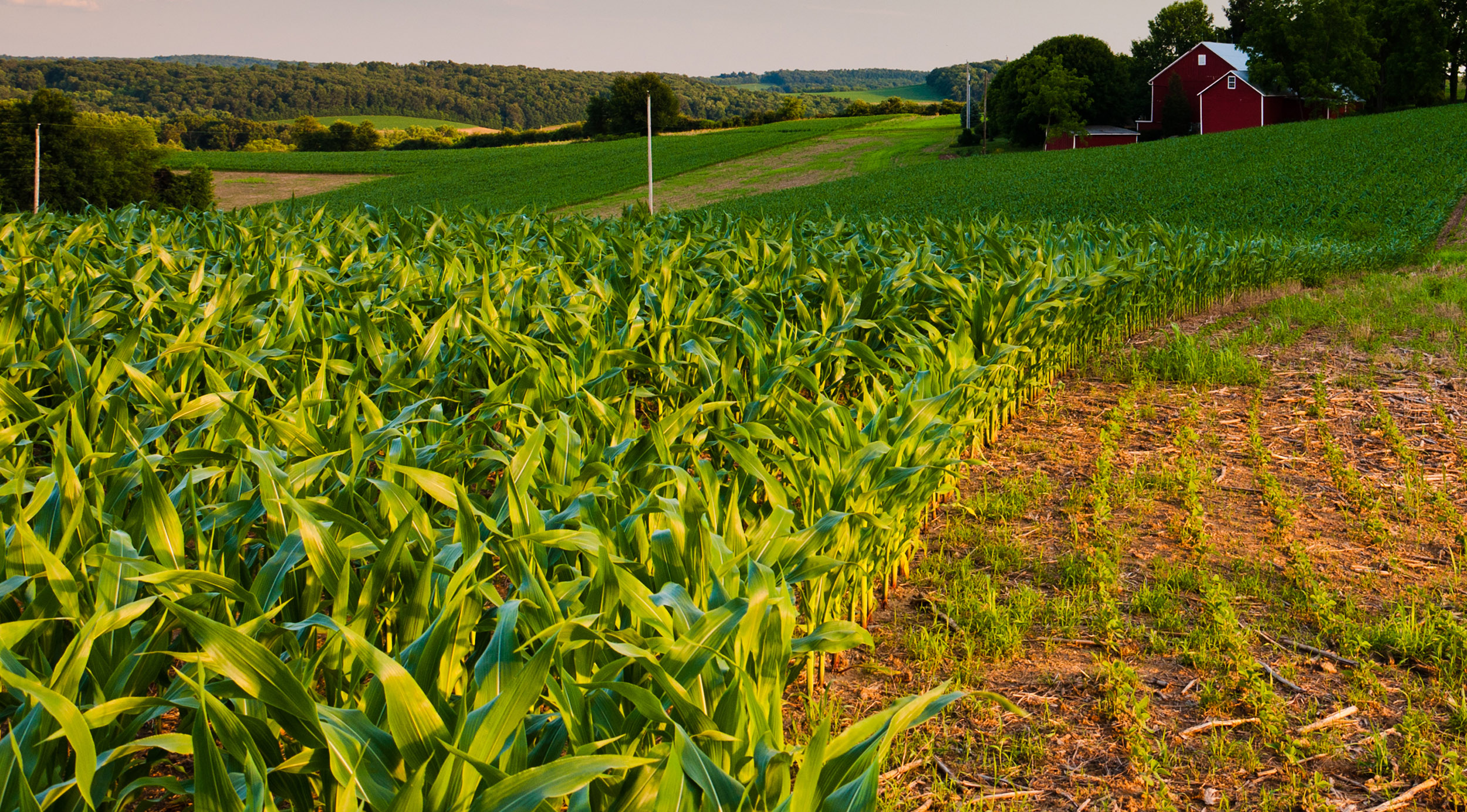 Pennsylvanian Food Map | TasteAtlas