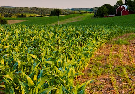 Northeastern American Food Homepage: Discover Northeastern American ...