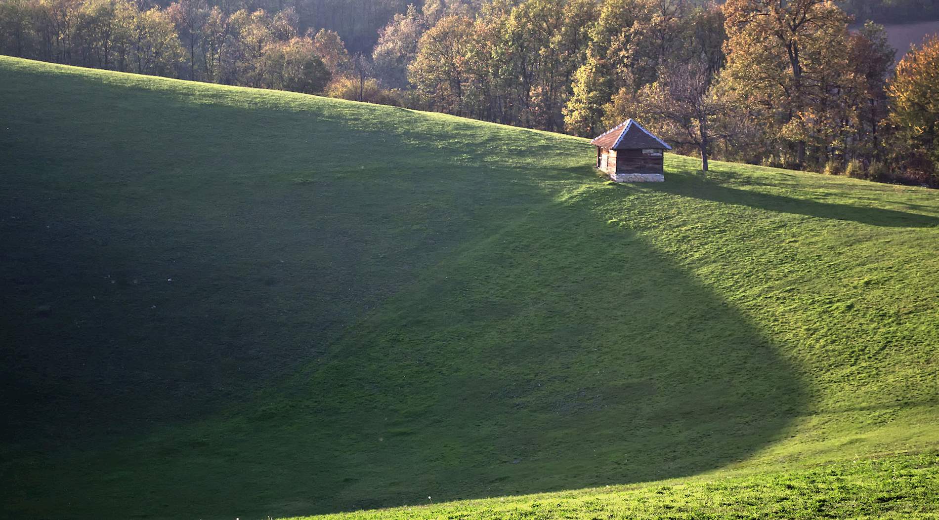 Eat Local in Kolubara District