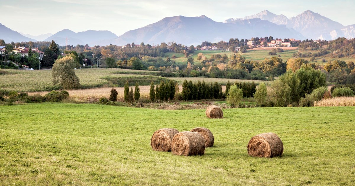Eat Local in the Province of Monza and Brianza