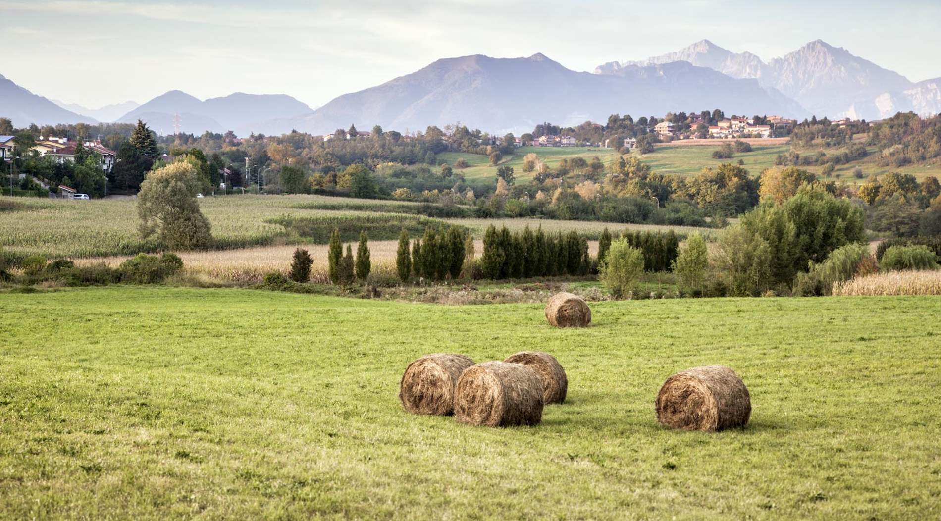 Eat Local in the Province of Monza and Brianza