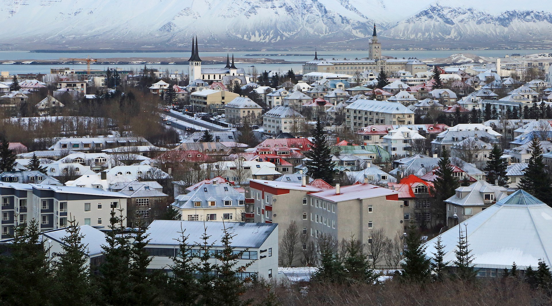 Eat Local in Iceland - TasteAtlas