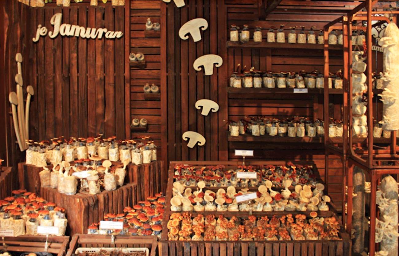 Jejamuran | TasteAtlas | Recommended authentic restaurants