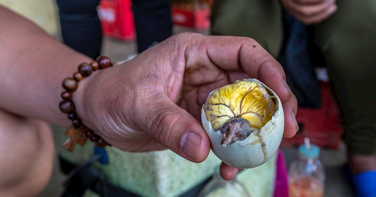 World’s Weirdest Dish: A Fertilized Duck Egg. How Do You Even Eat it?
