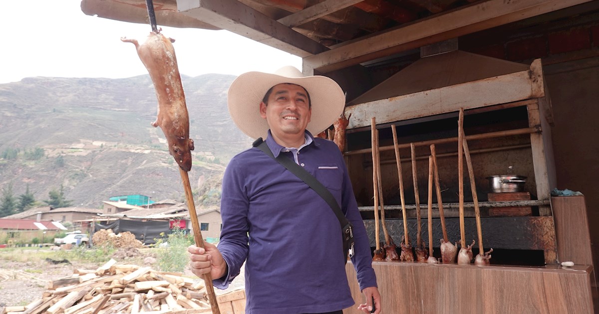 Guinea Pig - A Peruvian Delicacy That's Too Cute For Westerners