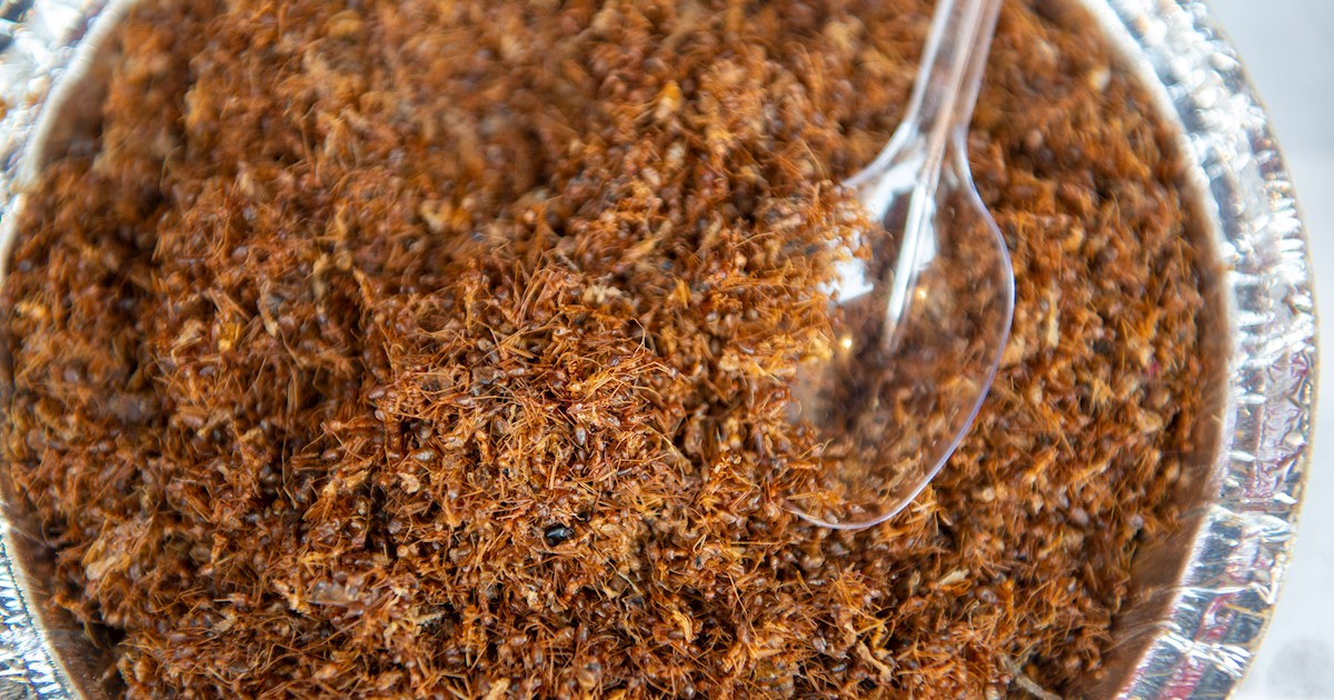 Chapda Chutney | Traditional Spread From Chhattisgarh, India