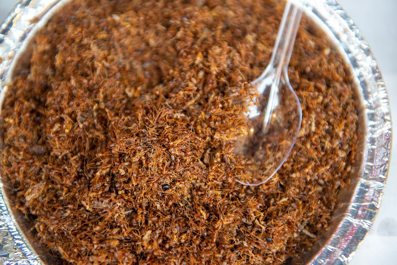 Chapda Chutney | Traditional Spread From Chhattisgarh, India