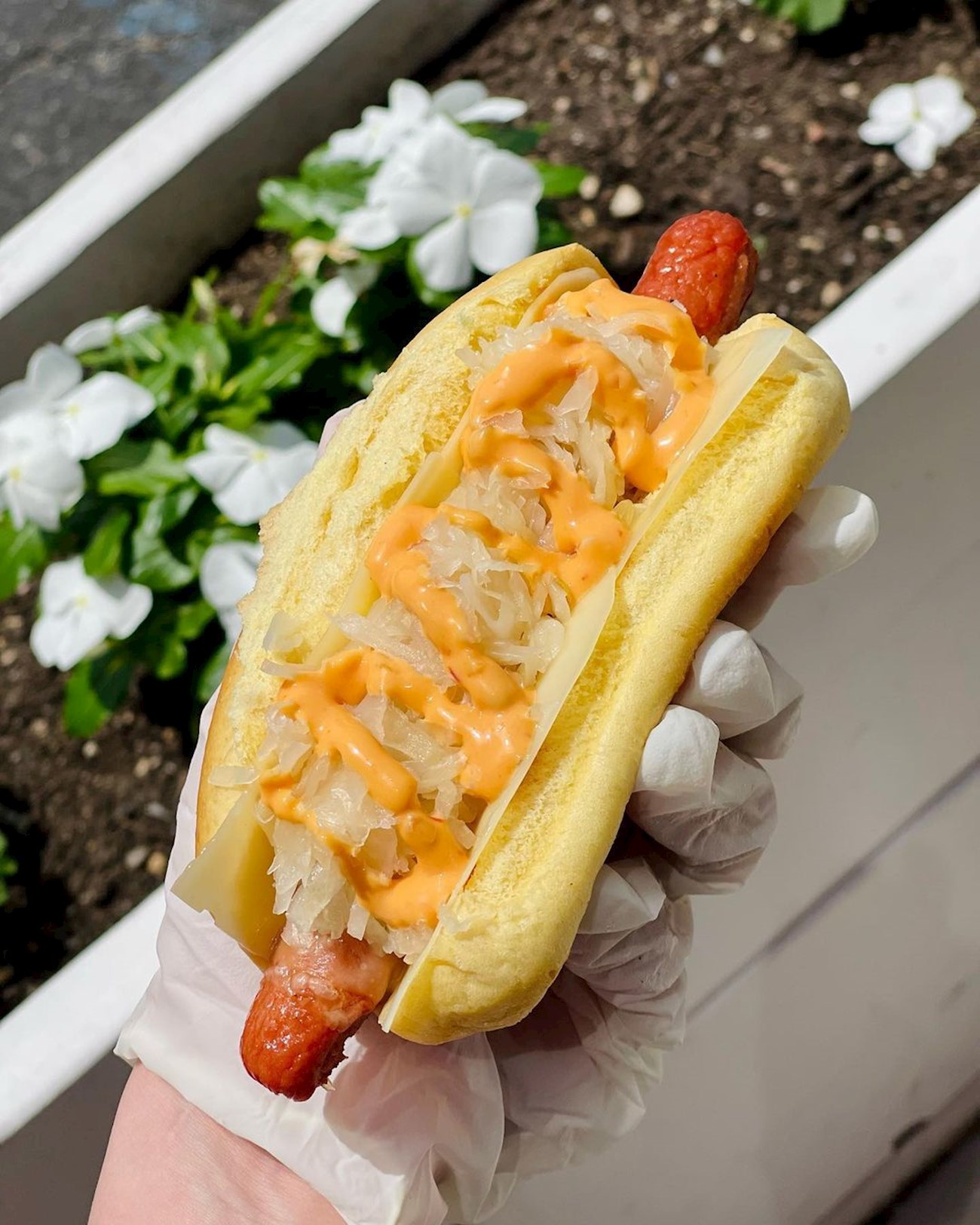 Reuben Dog | Traditional Hot Dog From New York City, United States of ...