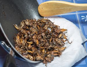 Angolan Food Map | Local Food in Angola | TasteAtlas