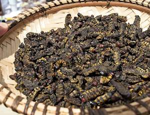 Angolan Food Map | Local Food in Angola | TasteAtlas