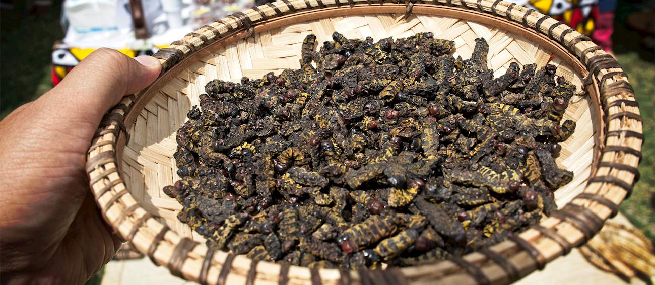 Catatos | Traditional Insect Dish From Uíge Province, Angola