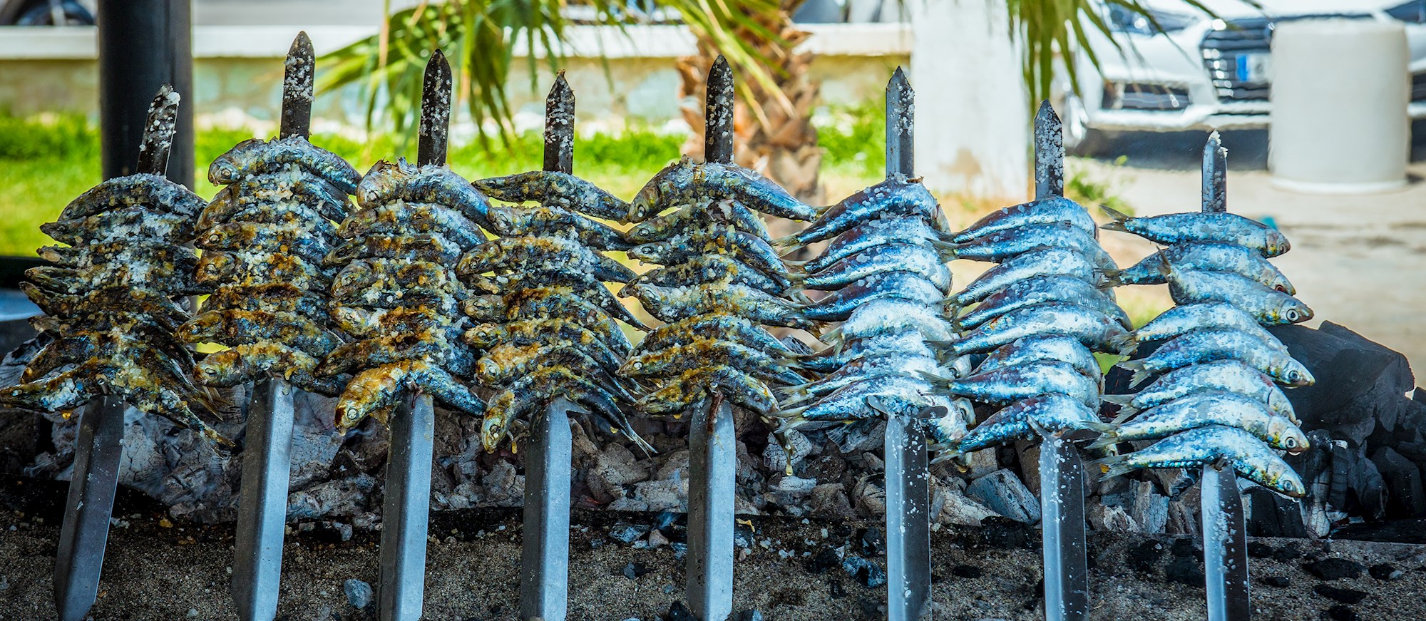 Where to Eat the Best Espetos in the World? | TasteAtlas