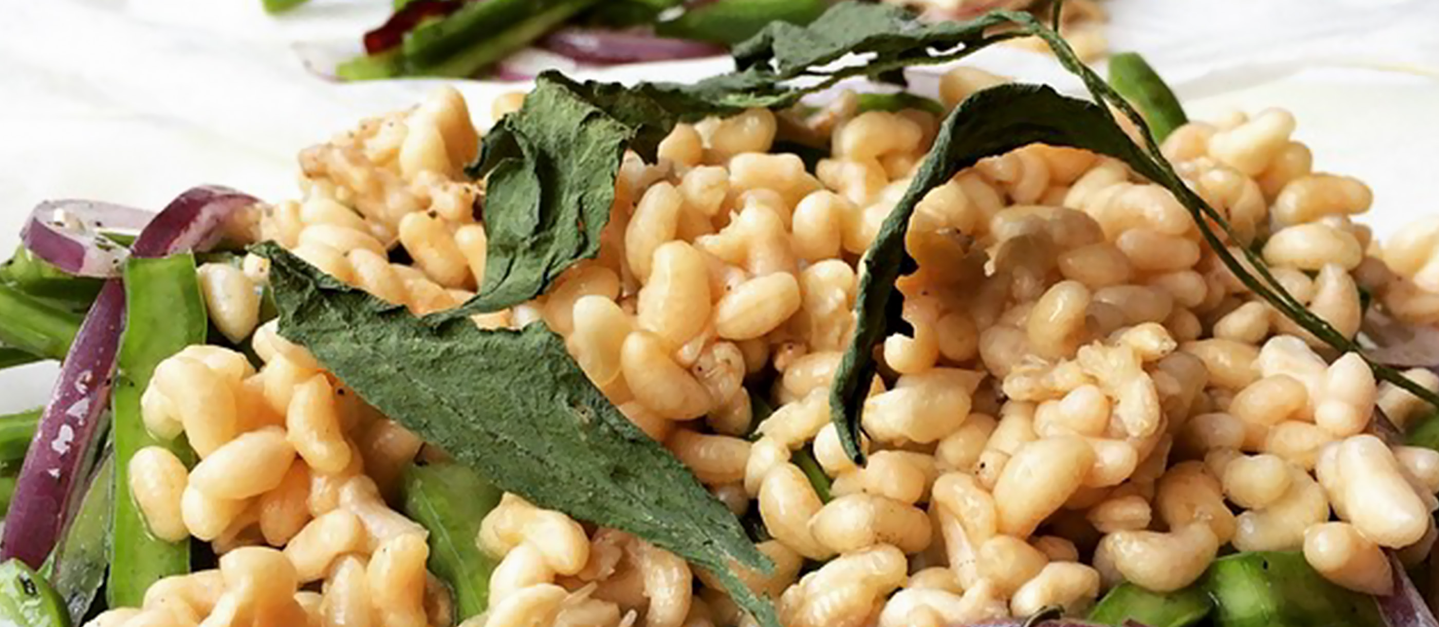 Mixiote de Escamol | Traditional Egg Dish From Hidalgo, Mexico