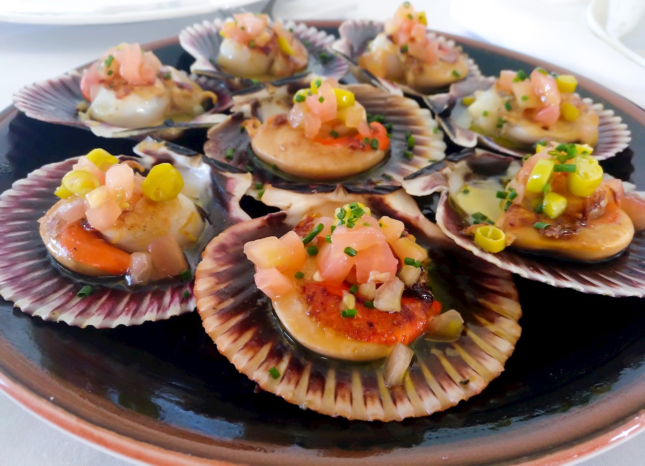 Vieiras en su Concha | Traditional Seafood From Galicia, Spain