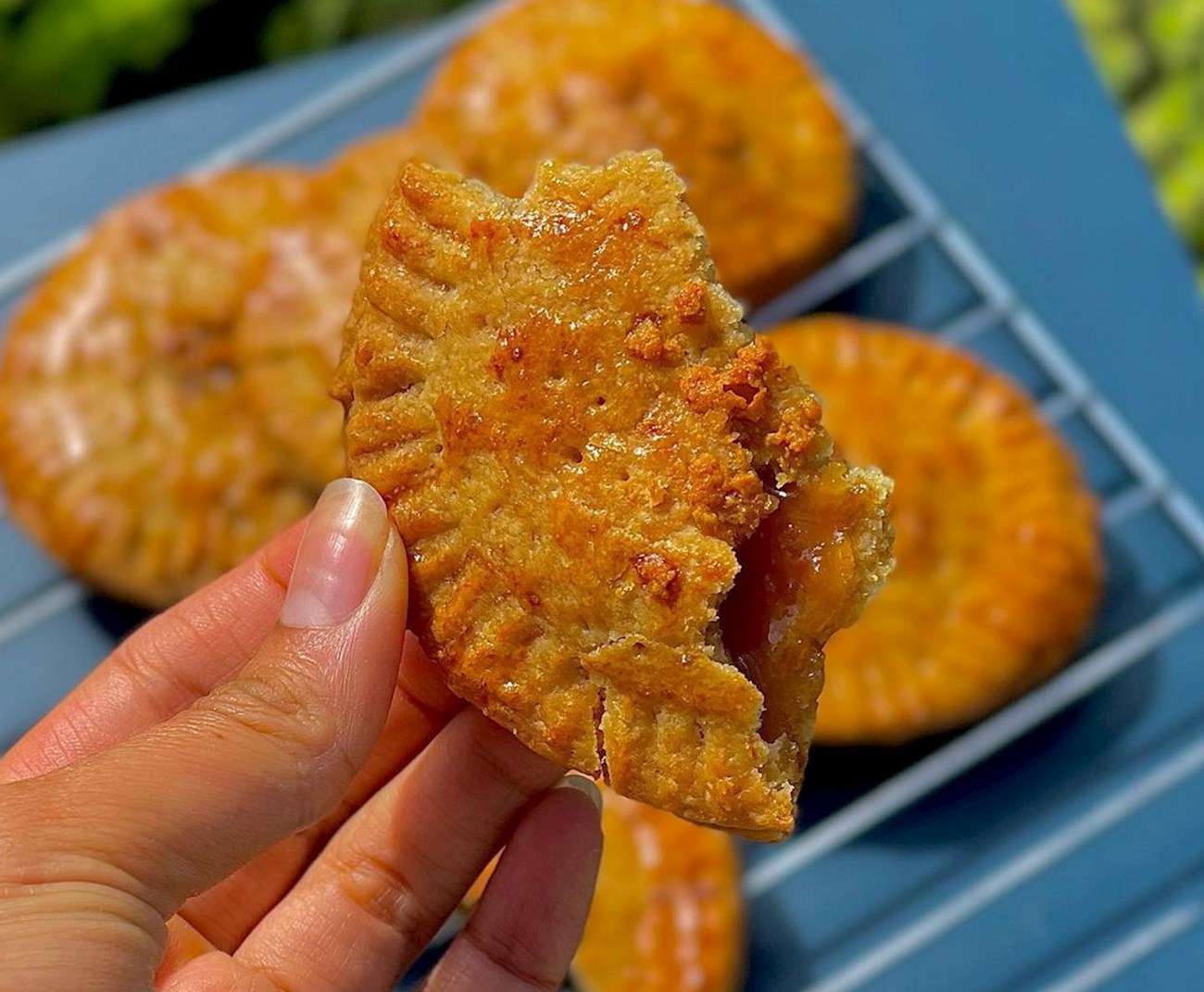 Coyotas | Traditional Cookie From Hermosillo, Mexico