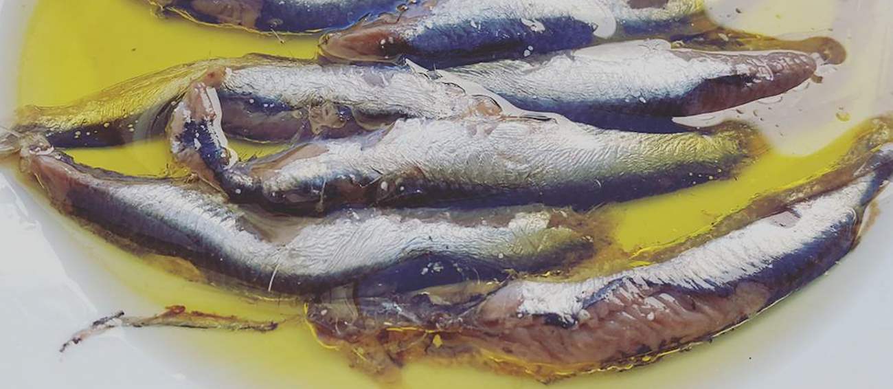 Slane Srdele | Traditional Saltwater Fish Dish From Dalmatia, Croatia