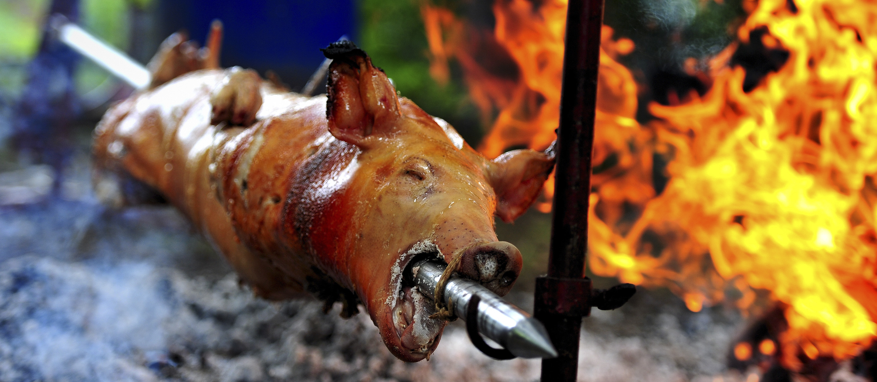 Where to Eat the Best Su Porceddu in the World? | TasteAtlas