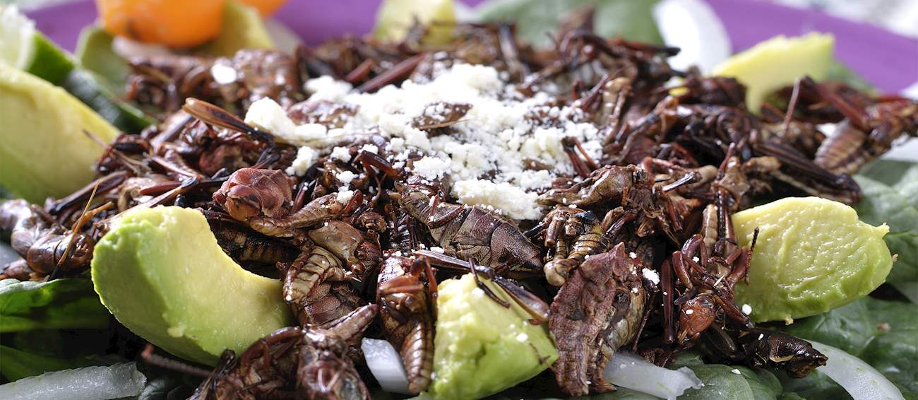 Chapulines | Traditional Insect Dish From Oaxaca, Mexico