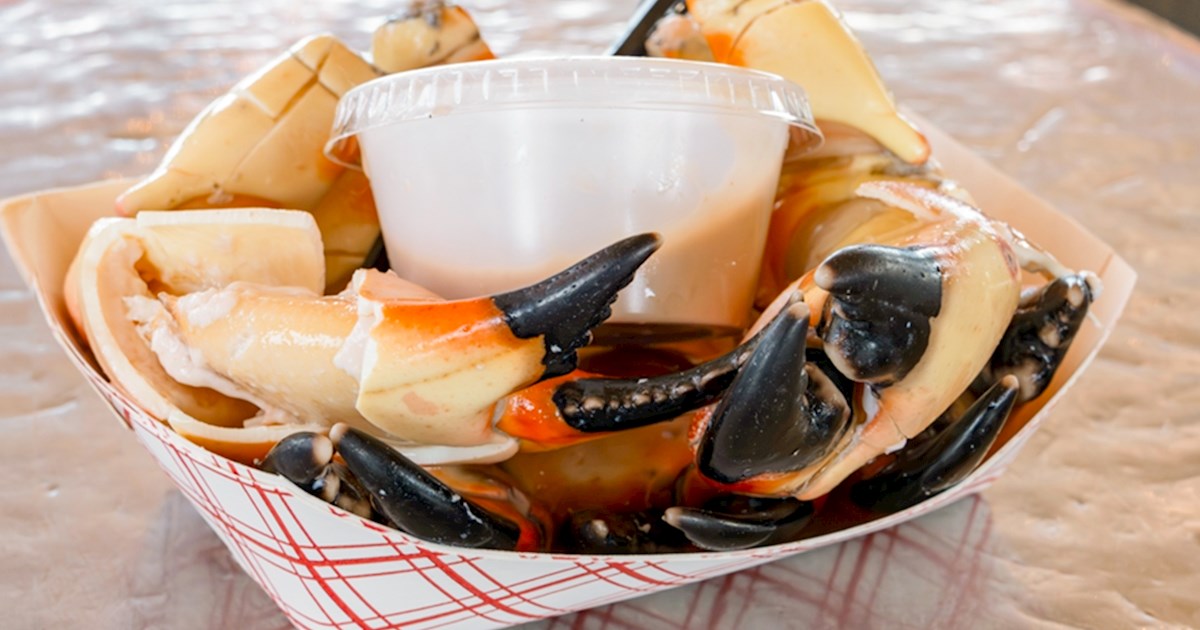 Stone Crab Claws | Traditional Crab Dish From Florida, United States of ...