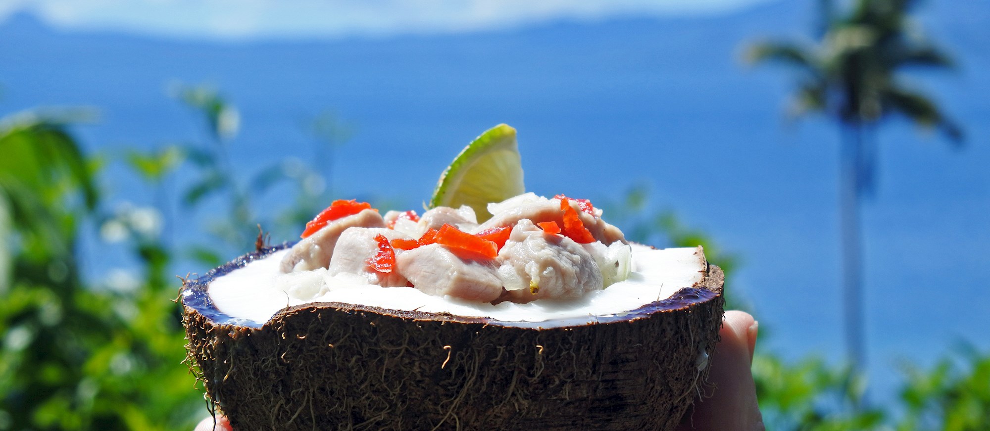 Where to Eat the Best Kokoda in the World? | TasteAtlas