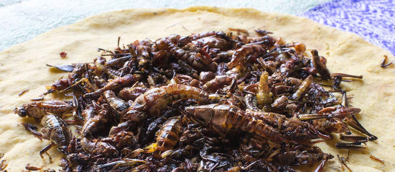 Chapulines | Traditional Insect Dish From Oaxaca, Mexico