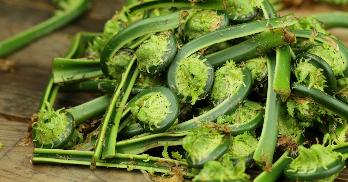 Boiled Fiddleheads | Traditional Vegetable Dish From Canada