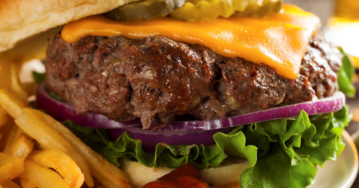 Bison Burger | Traditional Burger From United States of America