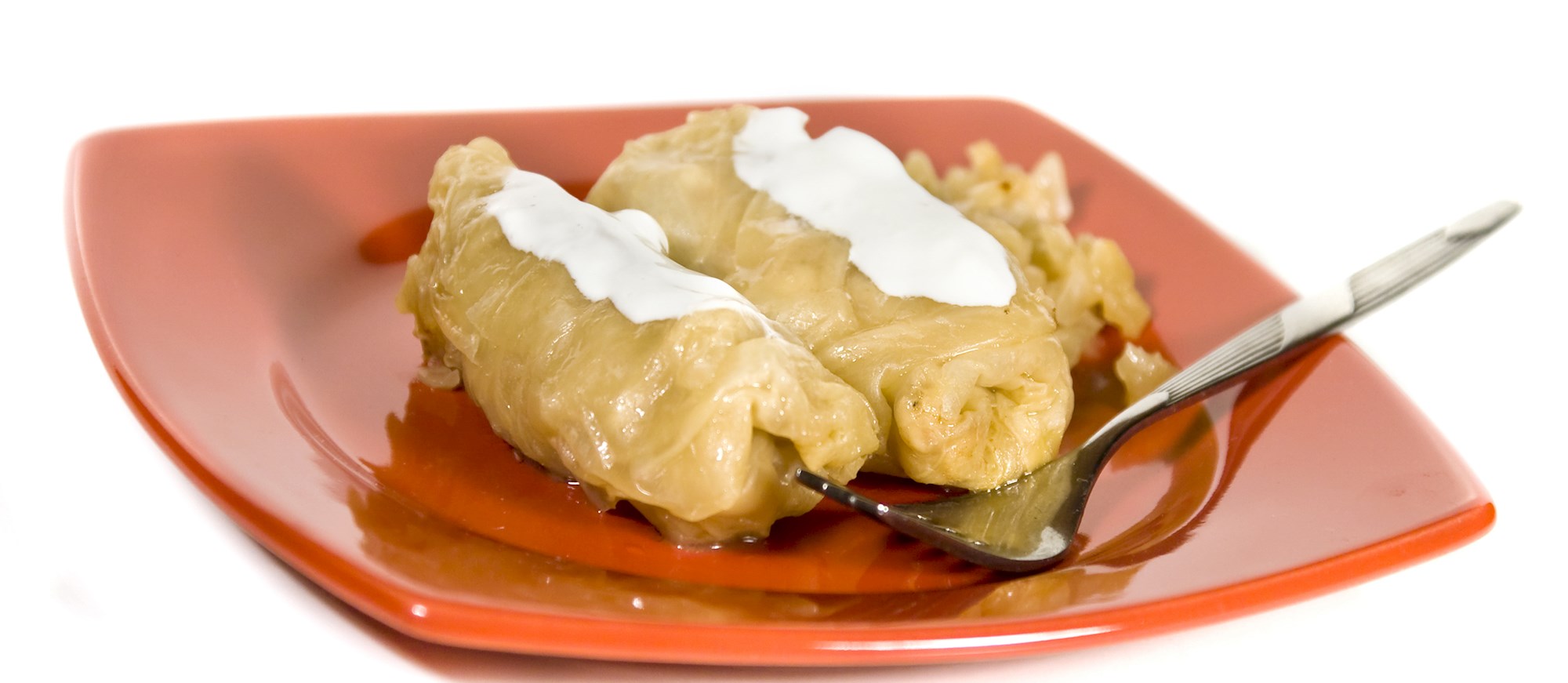 Where to Eat the Best Töltött Kaposzta in the World? | TasteAtlas