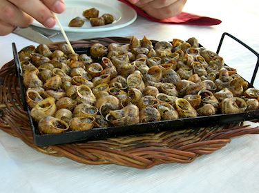 Snail Dish