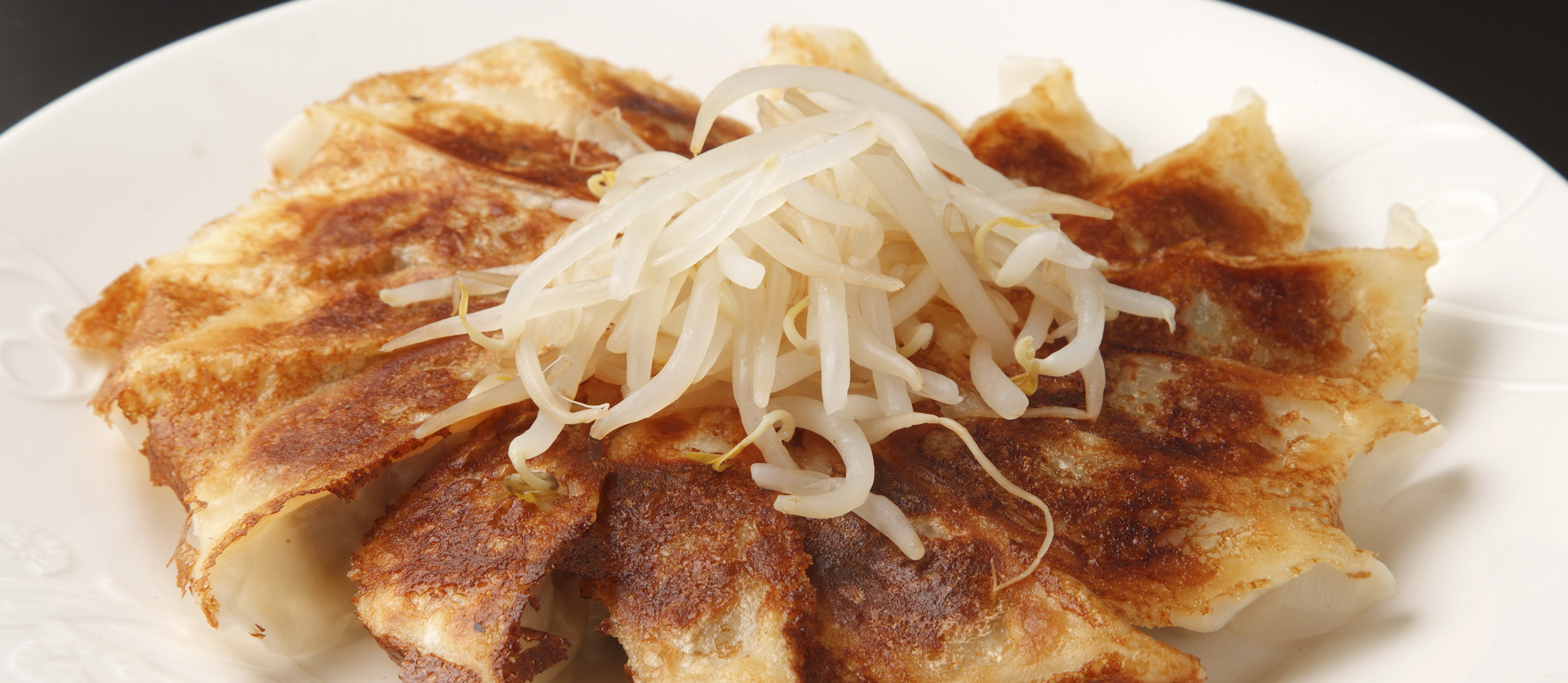 Hamamatsu Gyoza | Traditional Dumplings From Hamamatsu, Japan