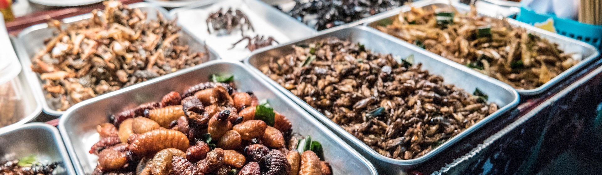 Top 4 Thai Insect Dishes - TasteAtlas