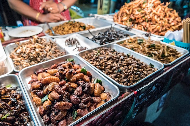 Asian Insect Dishes: Best Recipes & Restaurants | TasteAtlas