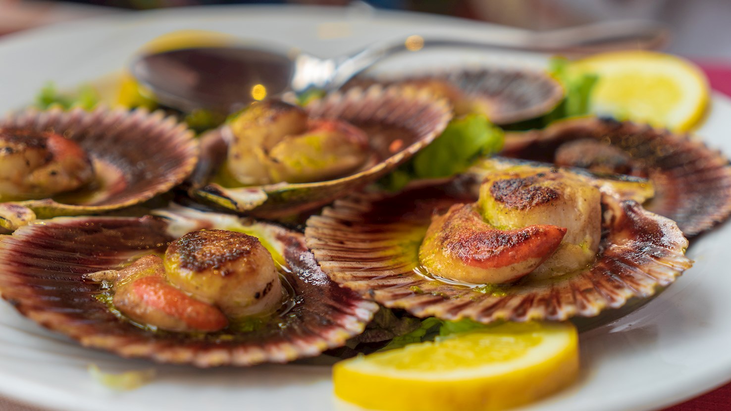 100 Best Rated Dishes with Shellfish - TasteAtlas