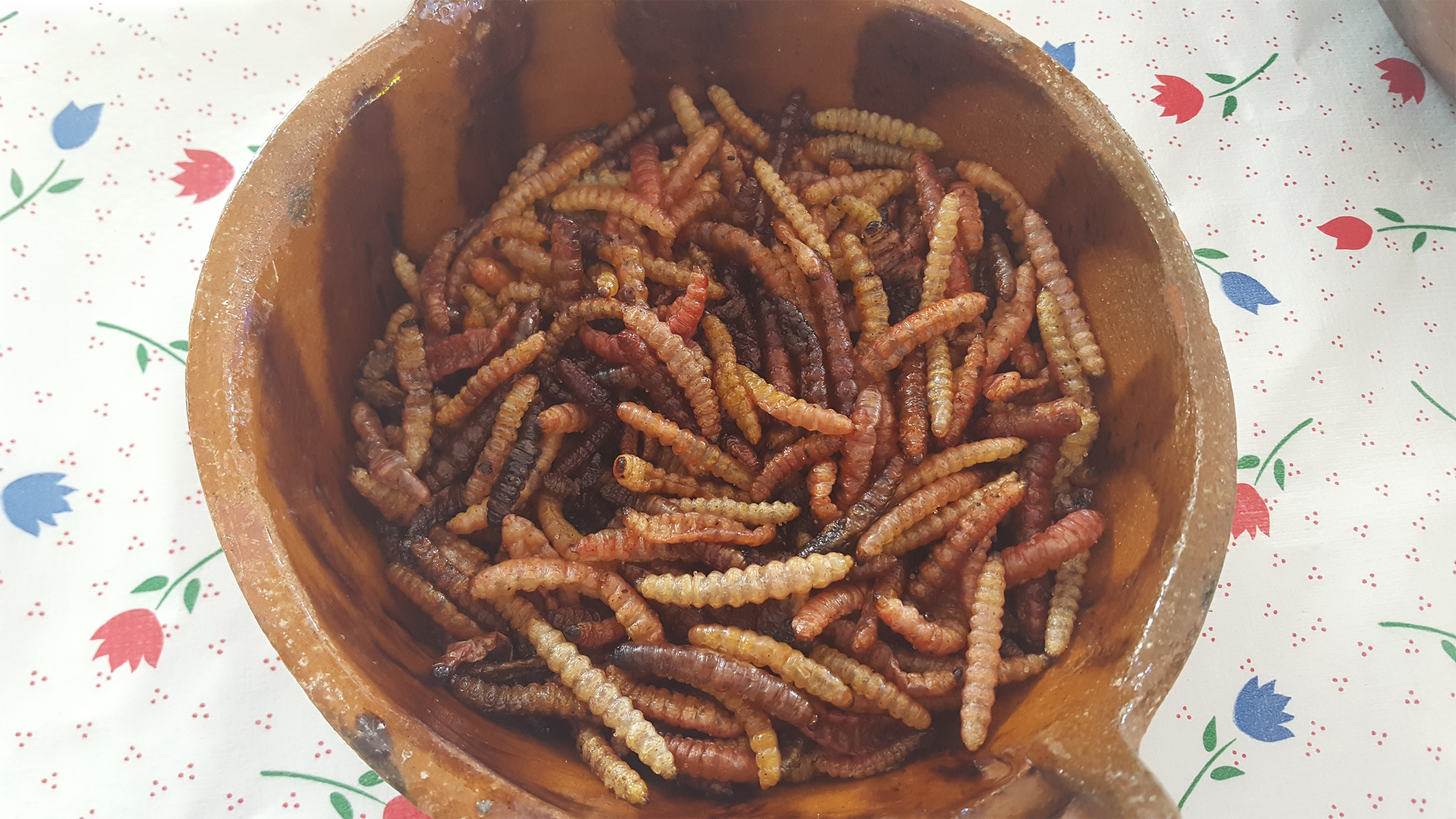 Chinicuiles | Traditional Insect Dish From Mexico