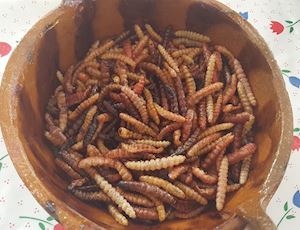 What to eat in Mexico City | Mexico City Local Food | TasteAtlas