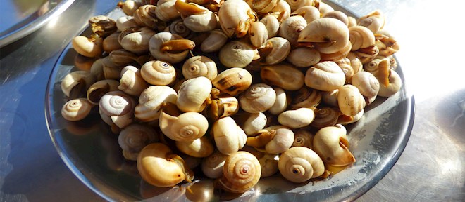 Snail Dishes of the World: Best Recipes & Restaurants | TasteAtlas