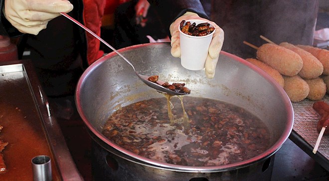 Insect Dishes of the World: Best Recipes & Restaurants | TasteAtlas