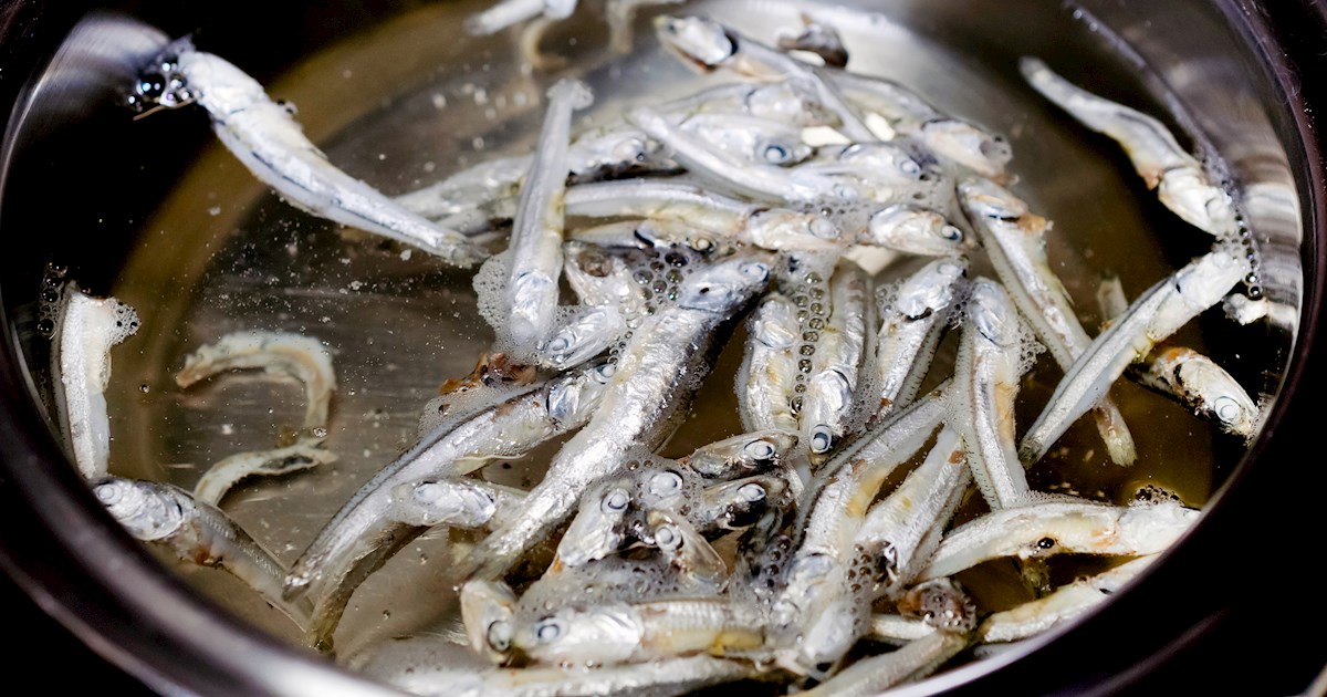 Niboshi Dashi | Traditional Soup From Japan