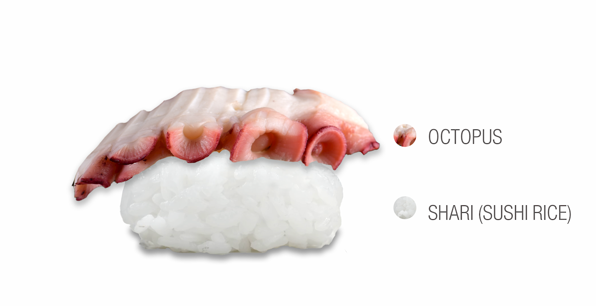 Tako Nigiri Sushi | Traditional Rice Dish From Japan