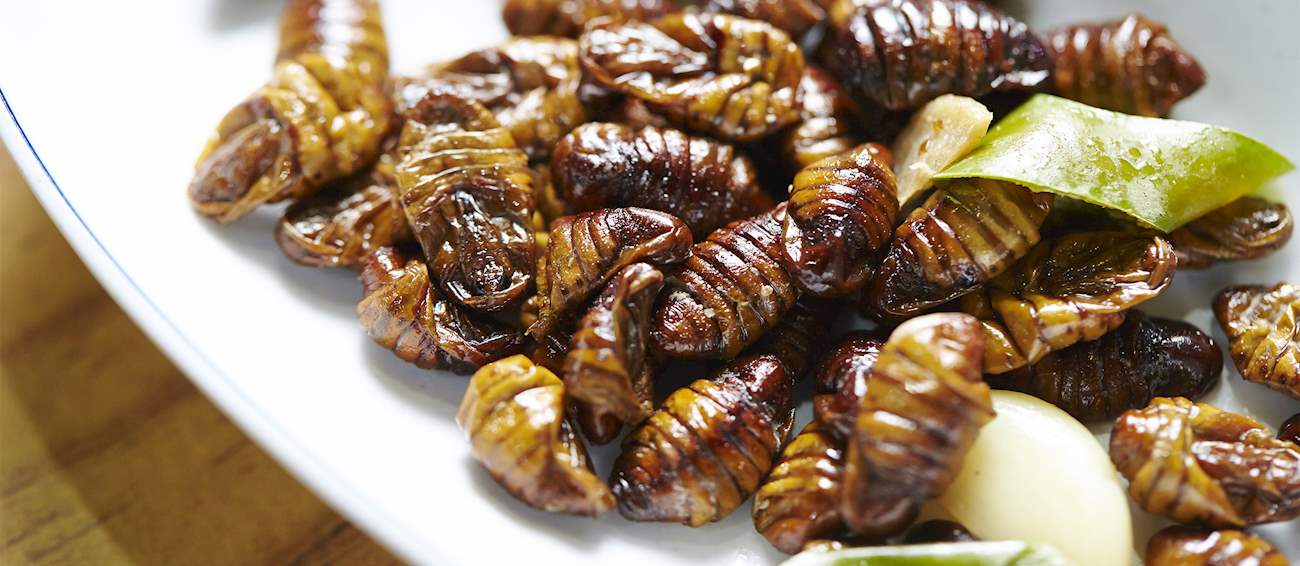 Beondegi | Traditional Insect Dish From South Korea