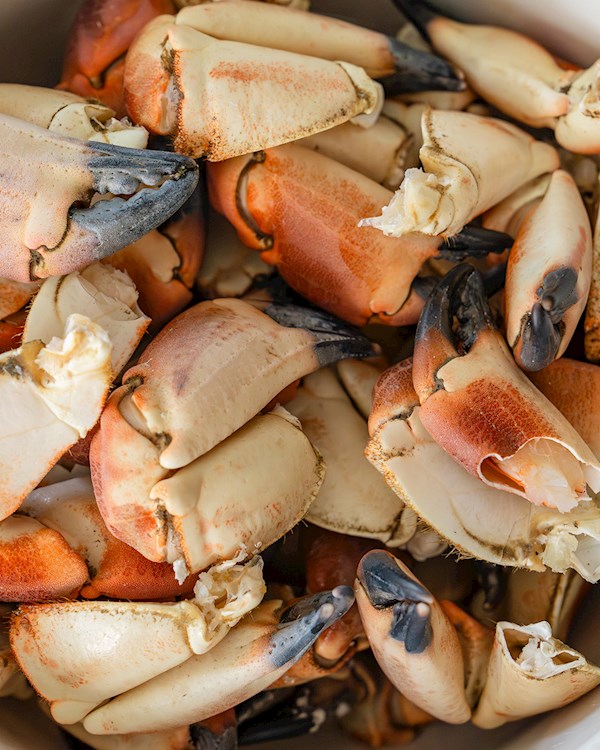 Rock Crab Claws Taste