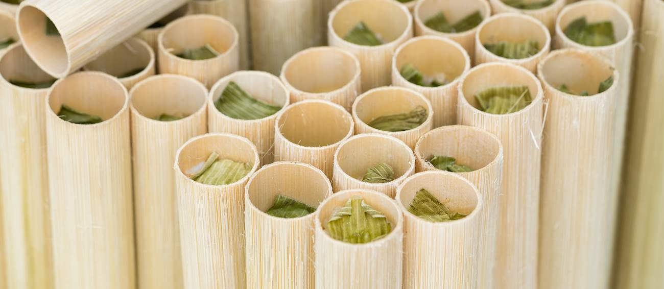 Cơm Lam | Traditional Rice Dish From Sa Pa, Vietnam