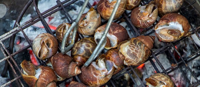 Snail Dishes of the World: Best Recipes & Restaurants | TasteAtlas
