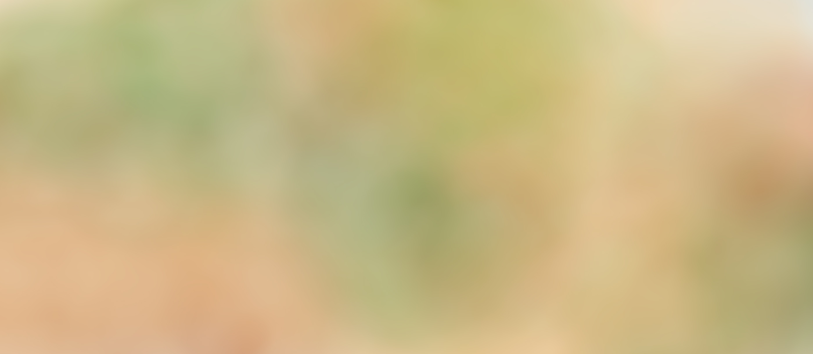 Italian Pasta Dishes Map | TasteAtlas