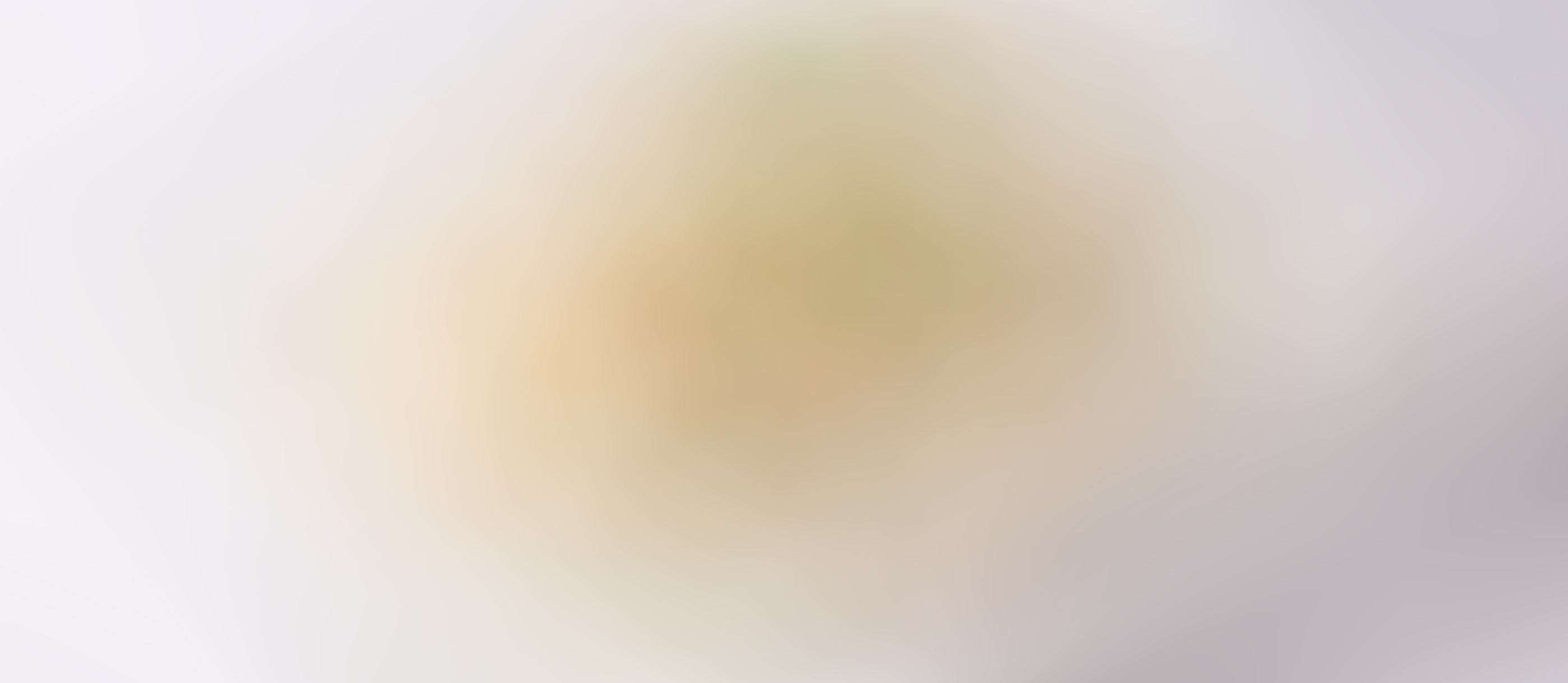 Japanese Rice Dishes Map | TasteAtlas